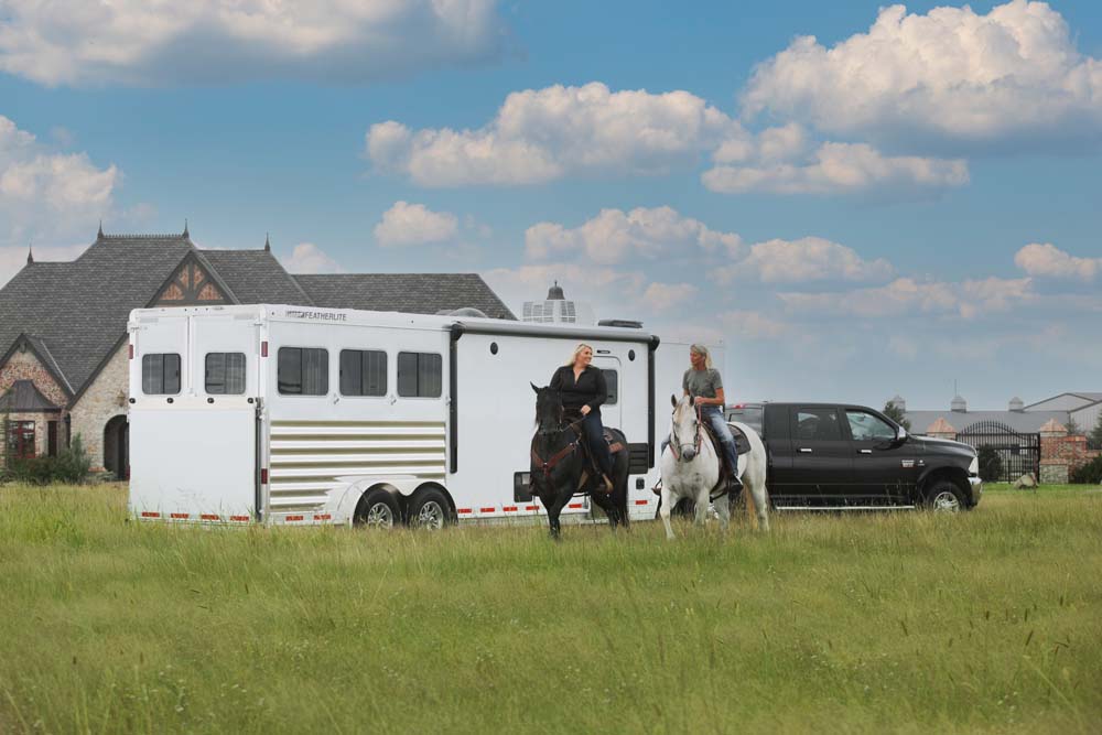 Horse & Livestock | Dexter Group