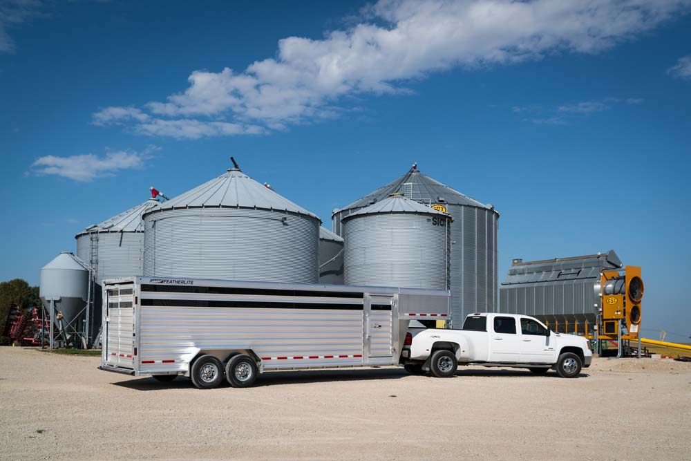 Horse & Livestock | Dexter Group